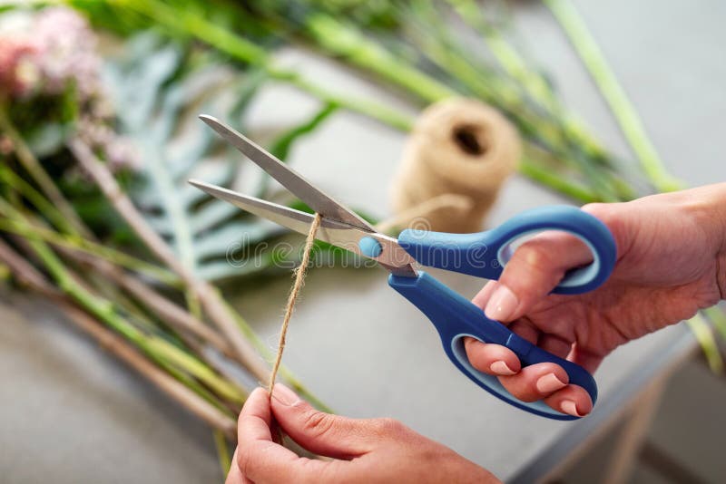 610 Scissors Cutting Rope Stock Photos - Free & Royalty-Free Stock ...