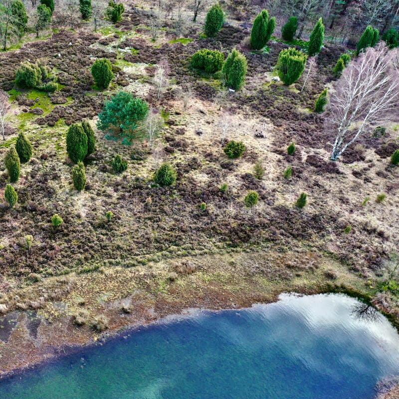 Close Up of Blue Small Lake in the Heath in the Bog with Heather on the ...