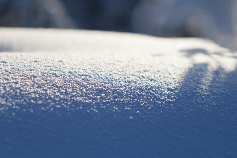 Blue Snow Covered Ladder Part of Playground among Coniferous Trees ...