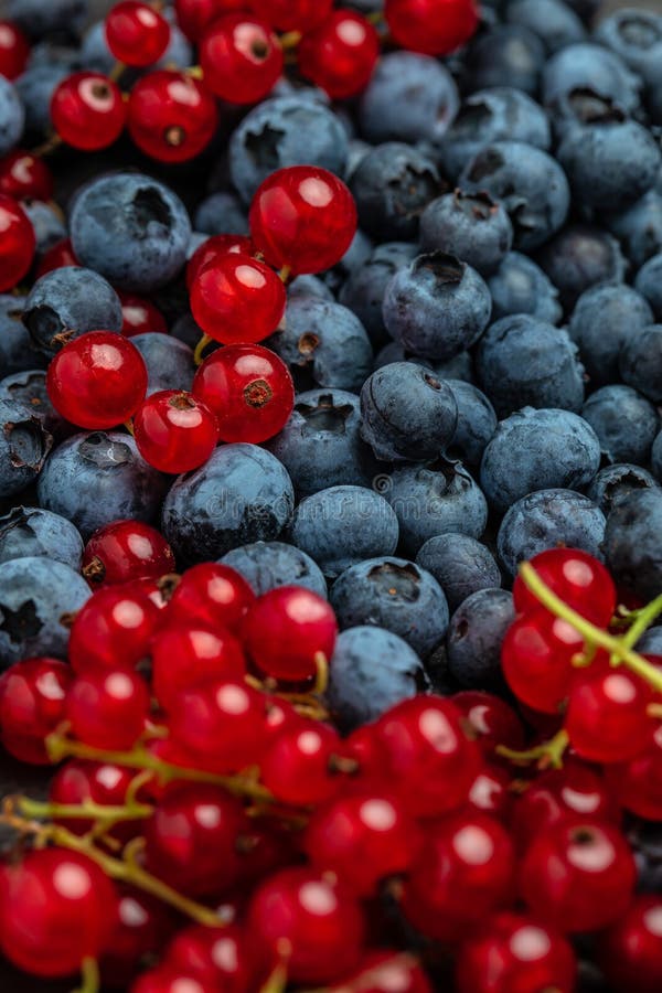 Close Up, Blueberry and Red Currant Background, Vertical Image. Top ...