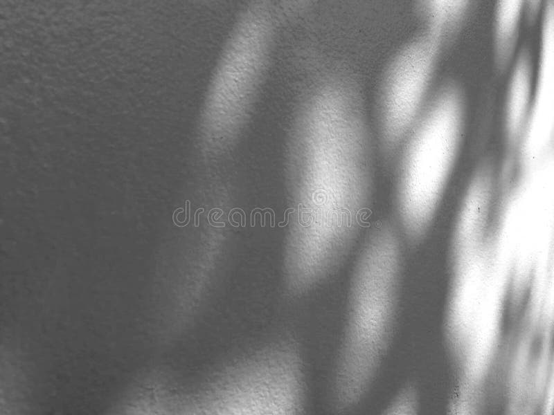 Abstract of Blurred Circle Lights from the Sun through Tree Branches on ...