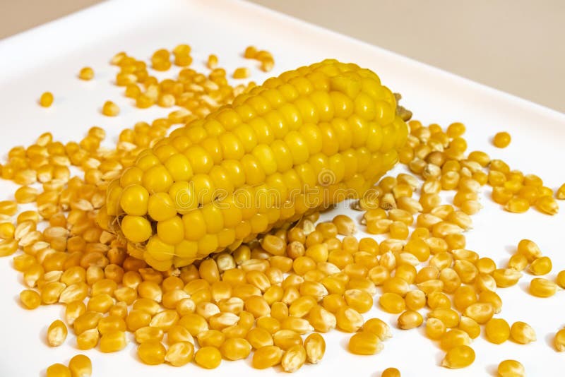 Boiled Corn and Corn Kernels in Plate. Stock Image - Image of kernels ...