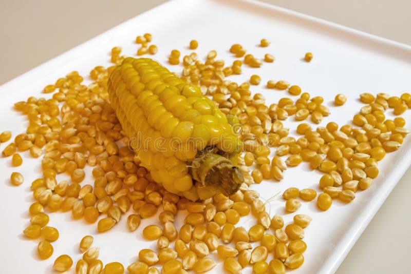 Boiled Corn and Corn Kernels in Plate. Stock Photo - Image of boil ...