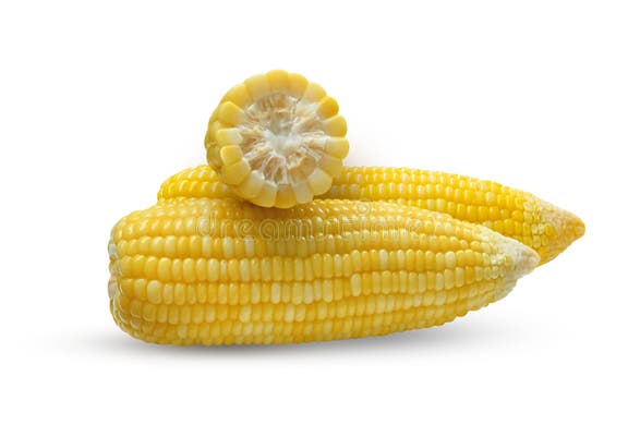 Close Up Boiled Corn and Half Separated on White Background Stock Photo ...
