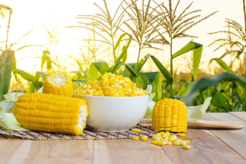 Close Up Boiled Corn on Wood Table Stock Image - Image of close, cooked ...