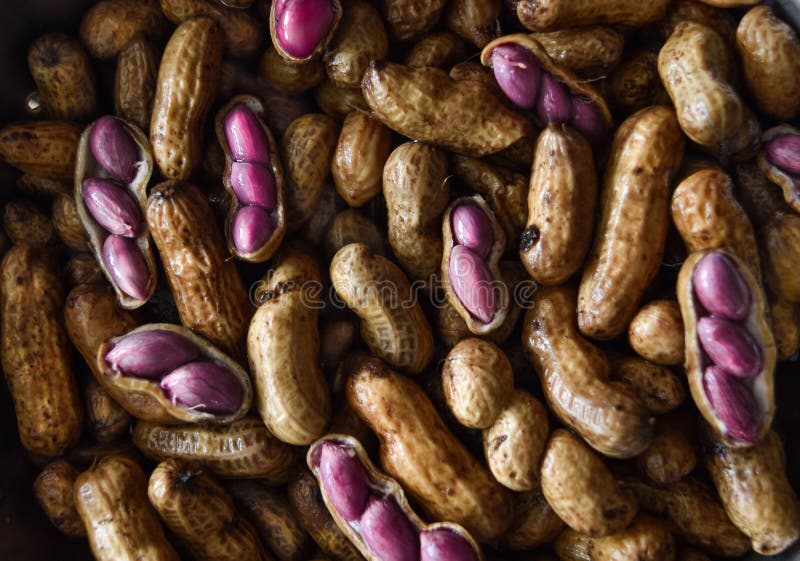 Close Up of Boiled Peanuts or Groundnuts, Macro Shot of Peanuts, Moody ...