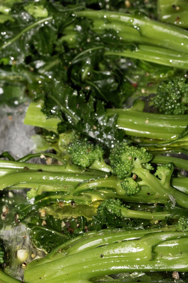 Close Up of Boiled and Roasted Broccoli Vegetable Ready for Dinner ...