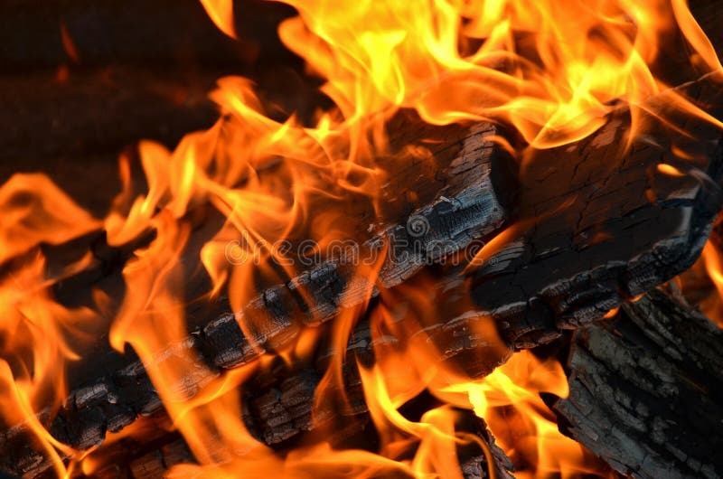 Close up of a bonfire stock photo. Image of wood, bonfire - 27194376