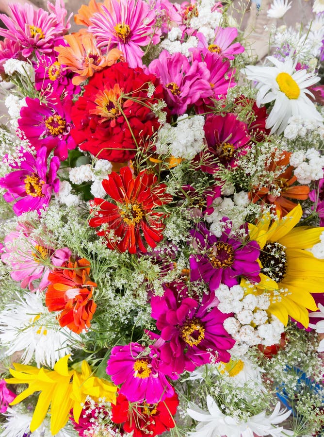 A Varied Bouquet of Flowers. Isolated. Stock Image - Image of fresh ...