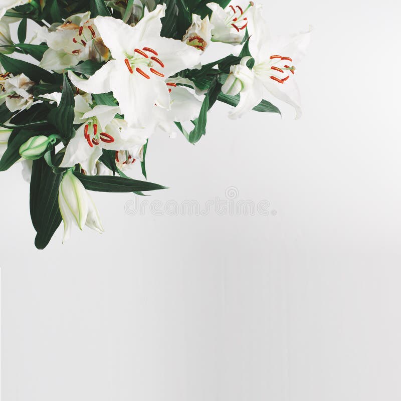 Close Up Bouquet of Lilies on the White Background. Flat Lay, Top View ...