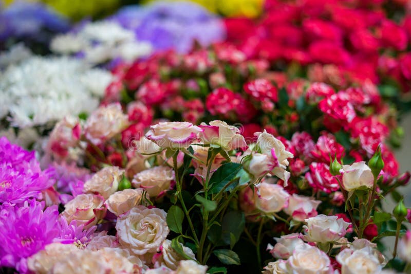 Close-up of Bouquets of Flowers Stock Image - Image of flowers, roses ...