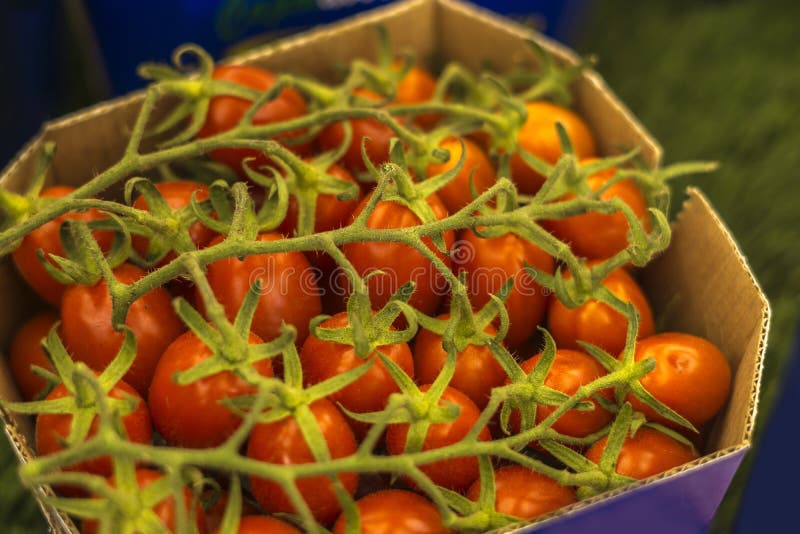 Close-up of Box with Cherry Tomatoes Stock Image - Image of close ...