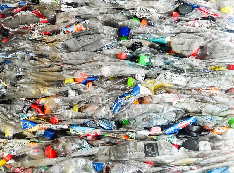 Close Up Of A Pressed Autumn Leave. Stock Photo - Image of october ...