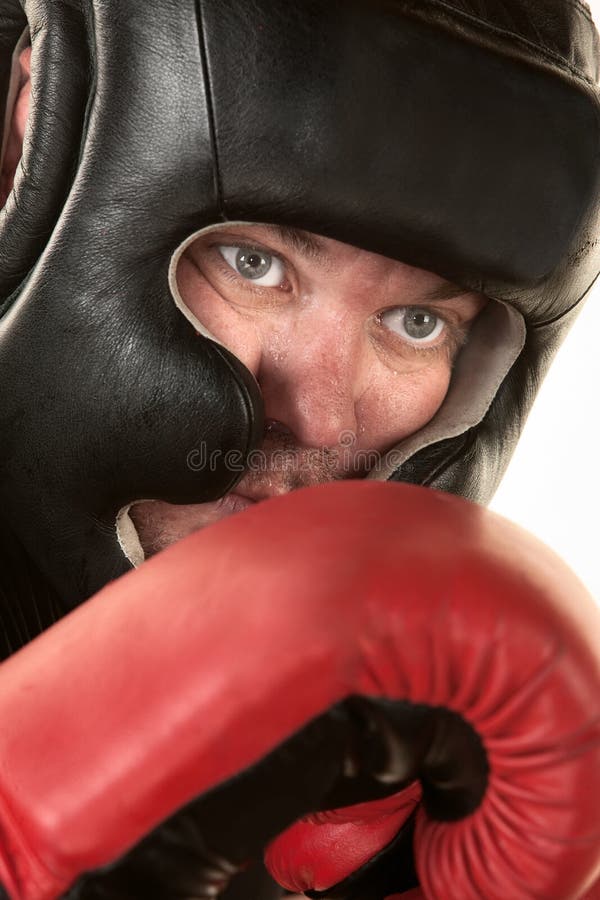 Boxer face stock image. Image of good, looking, winter - 9163239