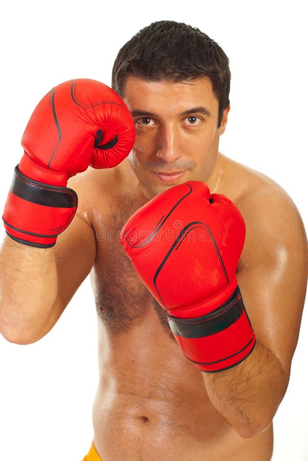 Funny resigned fat boxer stock photo. Image of adults - 29760586