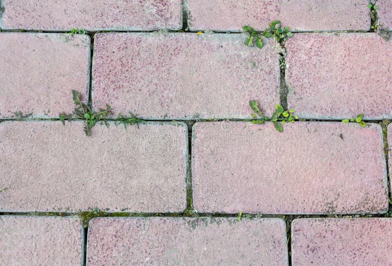 The Texture of the Stone. Background of Brick Paths. Stock Photo ...