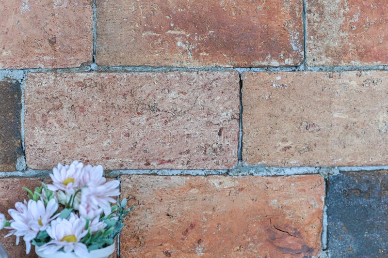 Close-up of a Brick Wall with Flowers in Front Stock Photo - Image of ...