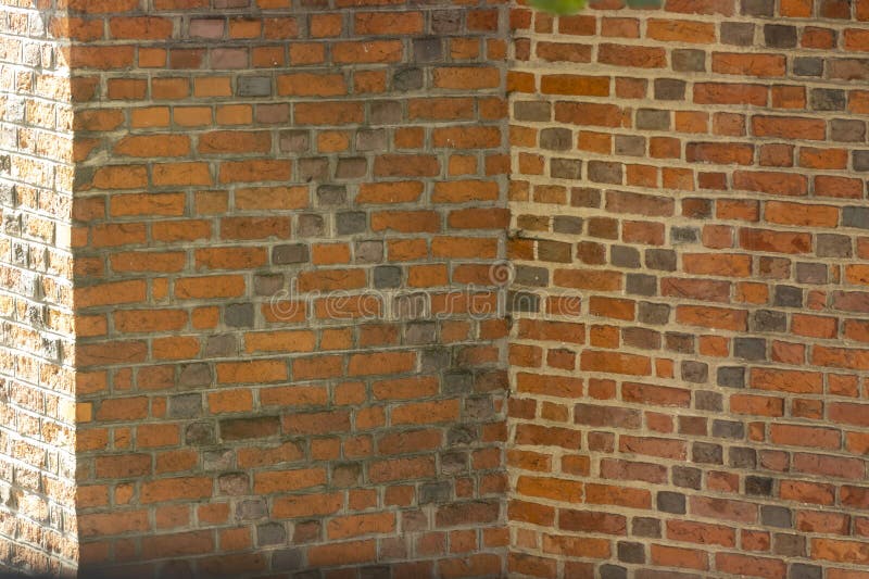 142 Archi Wall Family Stock Photos - Free & Royalty-Free Stock Photos ...