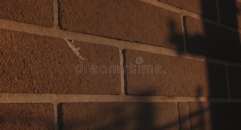 Close Up of a Brick Wall with Shadow Cast by an Object Stock ...