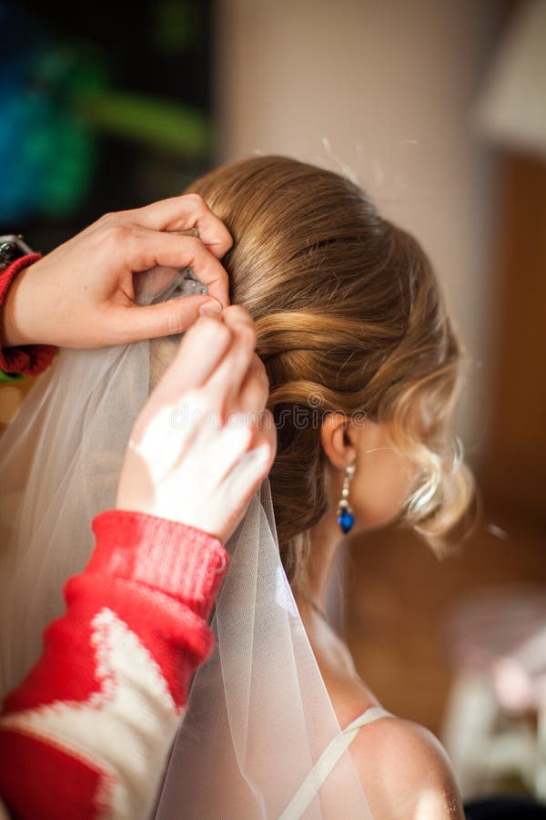Close Up Bride`s Hairstyle with a Veil Back View Stock Photo - Image of ...
