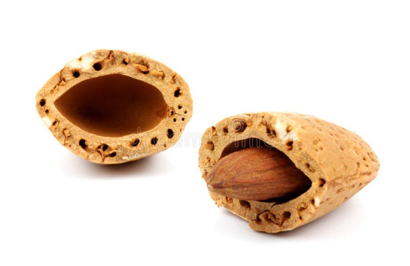 Close Up of Broken Almond Shell Stock Image - Image of cracked, oval ...