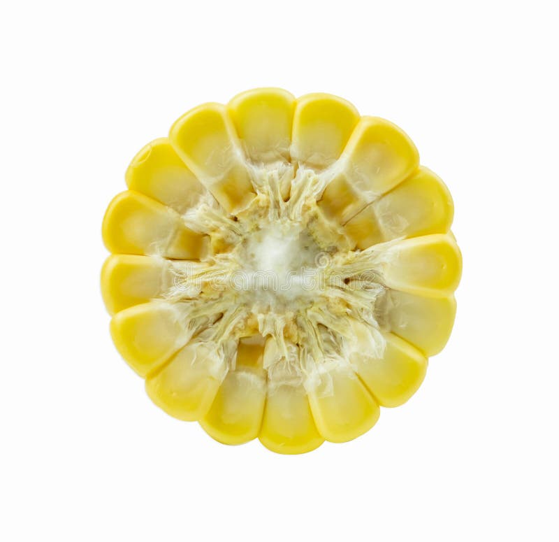 Set of Ripe Yellow Corn Isolated on White Stock Photo - Image of ...