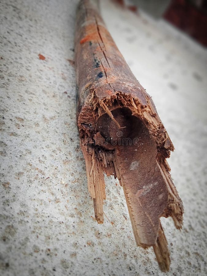 Close-up of a Broken Wooden Stick Lying on a Rough Concrete Surface ...