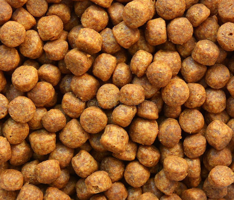 Dog food (Texture) stock photo. Image of treats, animal - 32948778
