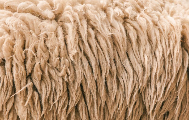9,323 Fleece Texture Photos - Free & Royalty-Free Stock Photos from ...