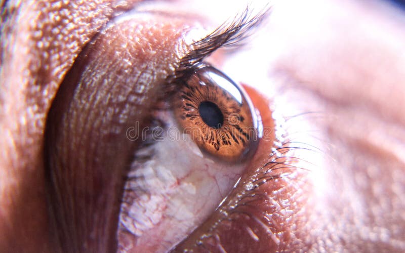 Eyebrow Ridges Stock Photos - Free & Royalty-Free Stock Photos from ...