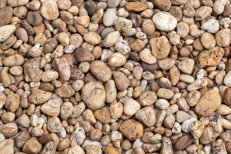 Close Up Brown Pebble Stone on the Floor for Texture Background Design ...