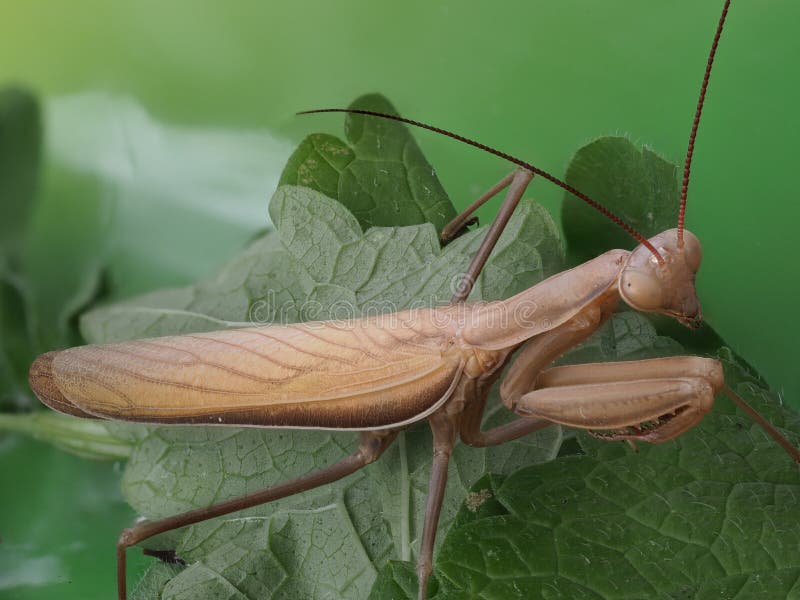 Reiner Conrad (Conradbks) - Photographer profile