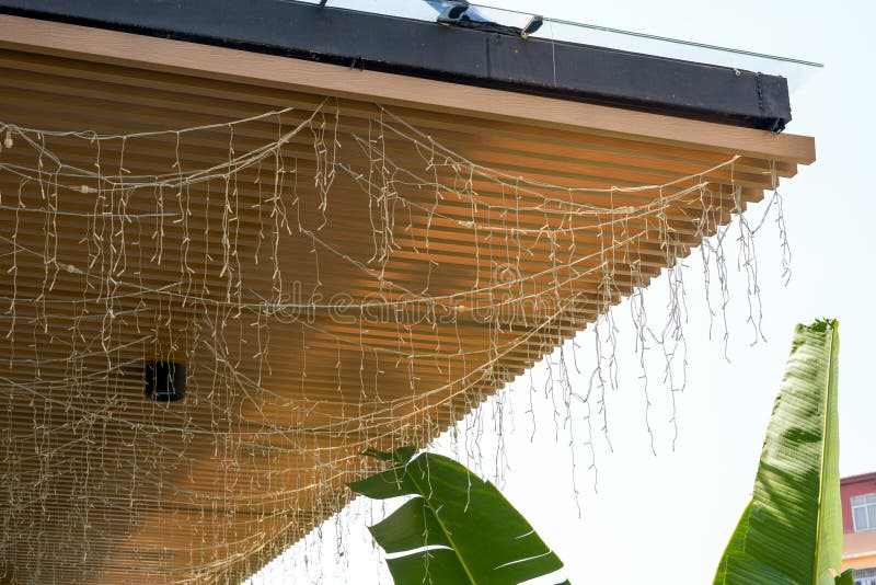 Close-up of Building Ceiling Covered with Light Strips Stock Photo ...