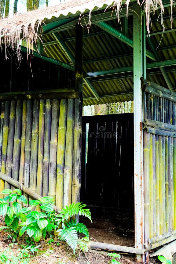 Close Up of a Building Hut in the Middle of the Forest. Stock Photo ...