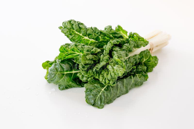 Chard / Silver Beet on a White Background Stock Image - Image of health ...