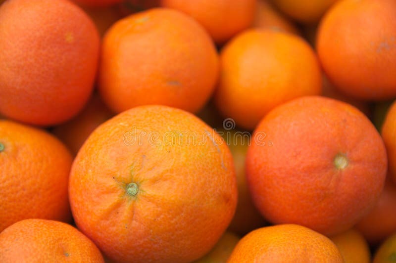 Close-up of a Bunch of Freshly Picked Oranges Stock Photo - Image of ...