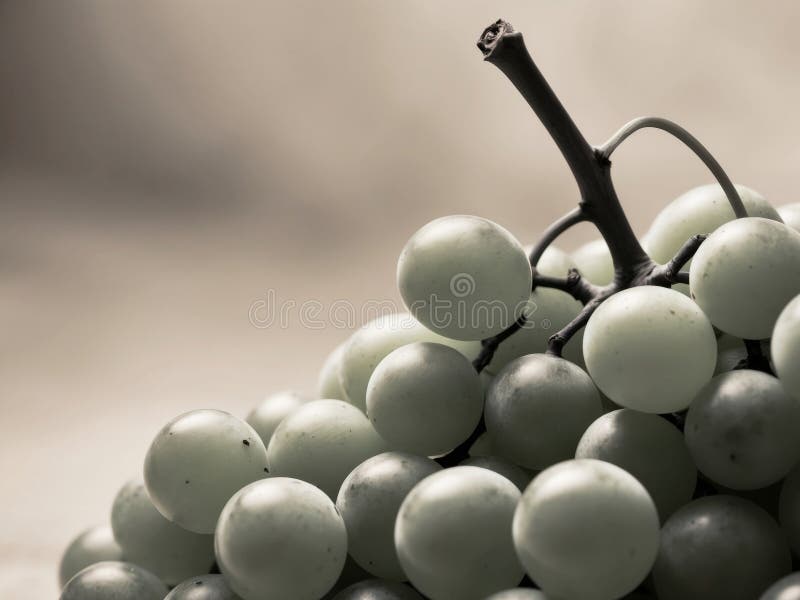 A Close Up of a Bunch of Grapes with a Single Grape Missing. Stock ...
