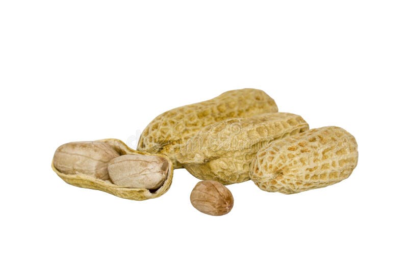 A Bunch of Peanuts on a White Background Stock Image - Image of organic ...