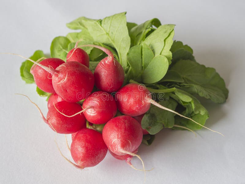 Close Up Bunch of Red Radishes on White Background Stock Image - Image ...
