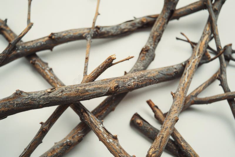 Close Up of a Bunch of Twigs, Suitable for Nature Backgrounds Stock ...