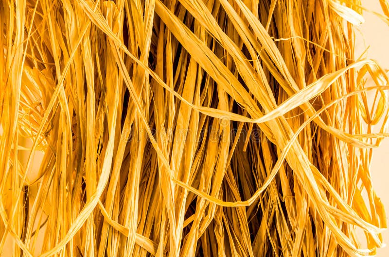 A Close Up of a Bunch of Flowers with Water Droplets on Them, AI Stock ...