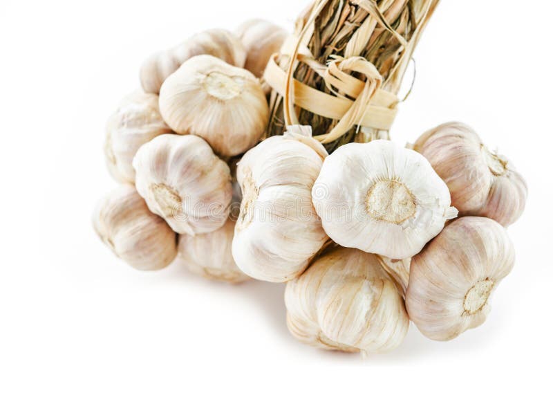 Close up bundle of garlic. stock image. Image of still - 72380501