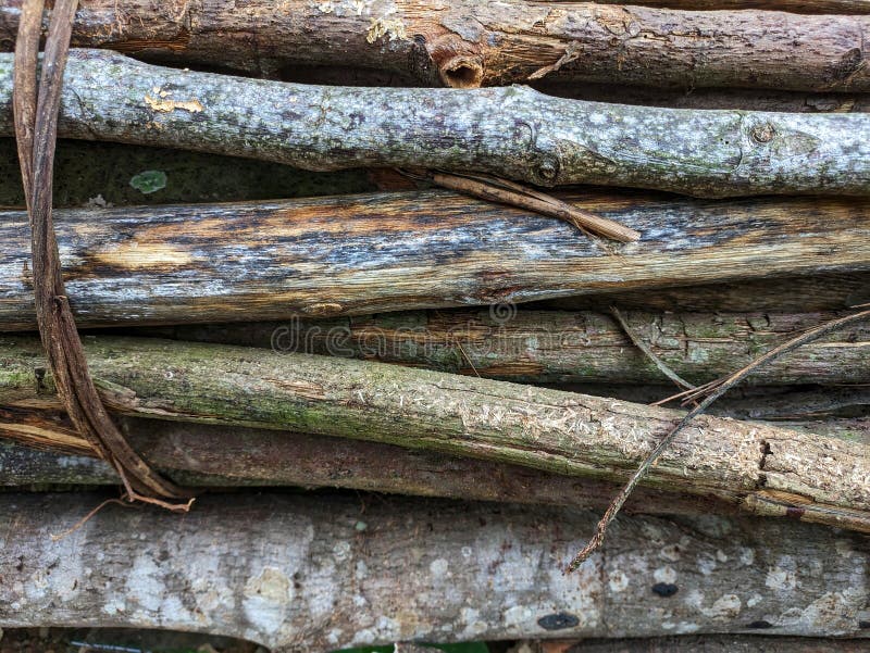 A Close-up of a Bundle of Weathered, Intertwined Sticks and Branches ...