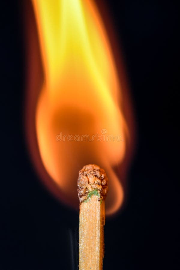 Burnt wood texture stock image. Image of dark, burn, macro - 61568273