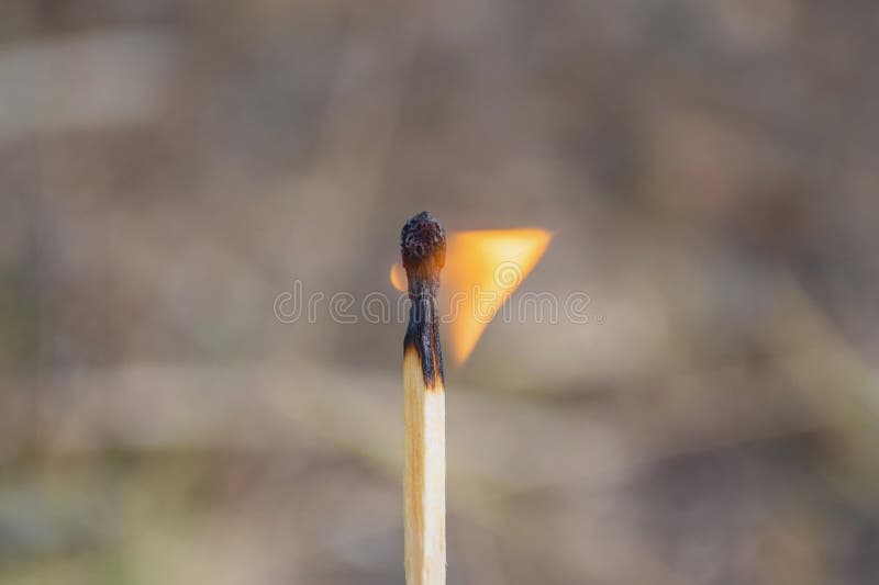 A Close-up of a Burning Match. Fire from a Match Stock Image - Image of ...