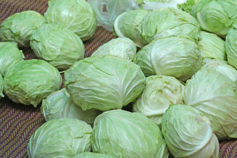 Cabbage in the market stock image. Image of green, farming - 134540443