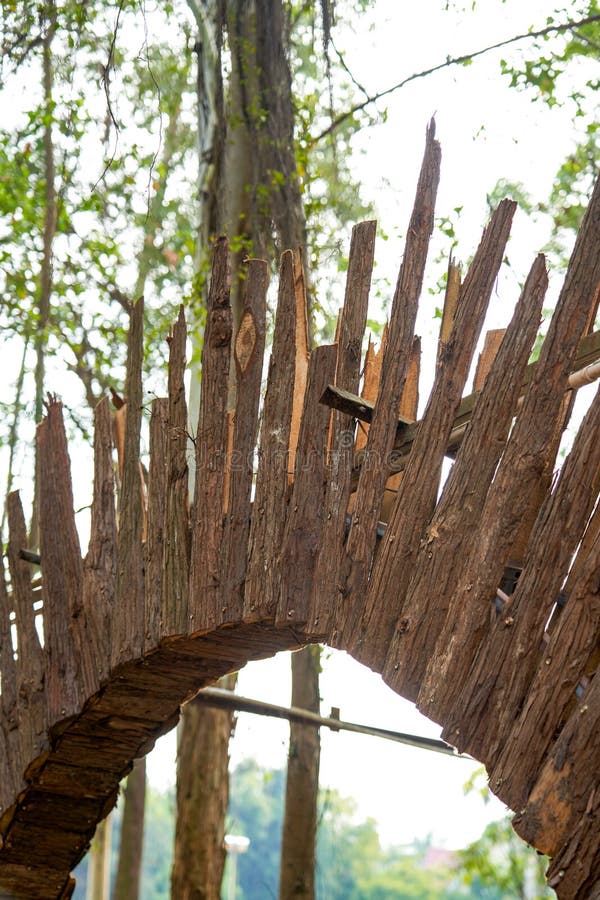 Close Up of Cabin Building in Forest at Outdoor Camping Site Stock ...