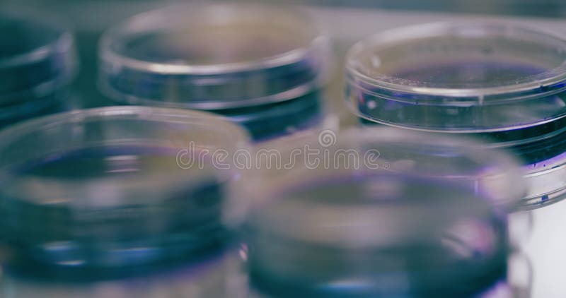 Cancer Cells Under Microscope at Laboratory Stock Footage - Video of ...