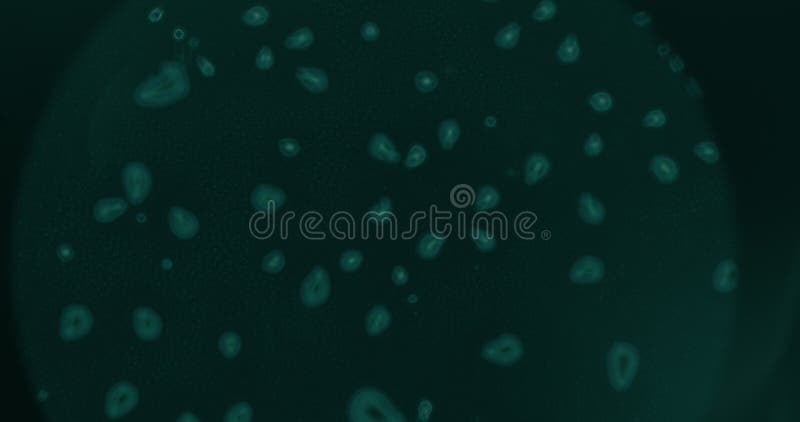 Cancer Cells Under Microscope at Laboratory Stock Footage - Video of ...