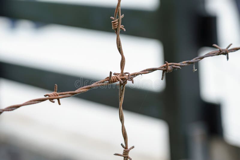 Close-up View of Weathered Barbed Wire Against a Blurred Background of ...